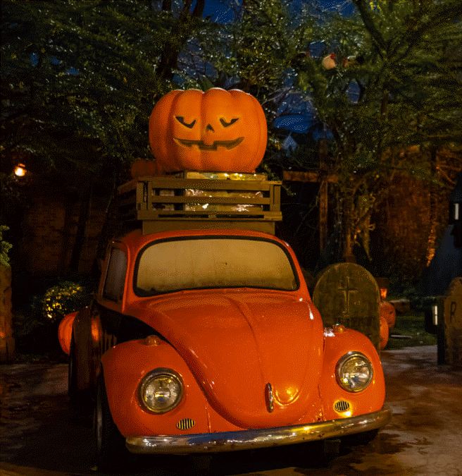 Halloween Scary Jungle Road Drive